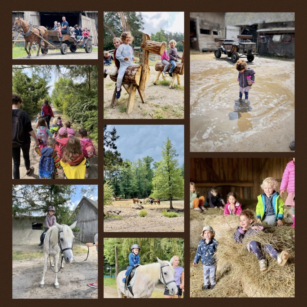 Wycieczka do Stajni Kaliska – Prywatne Przedszkole Lauder-Morasha