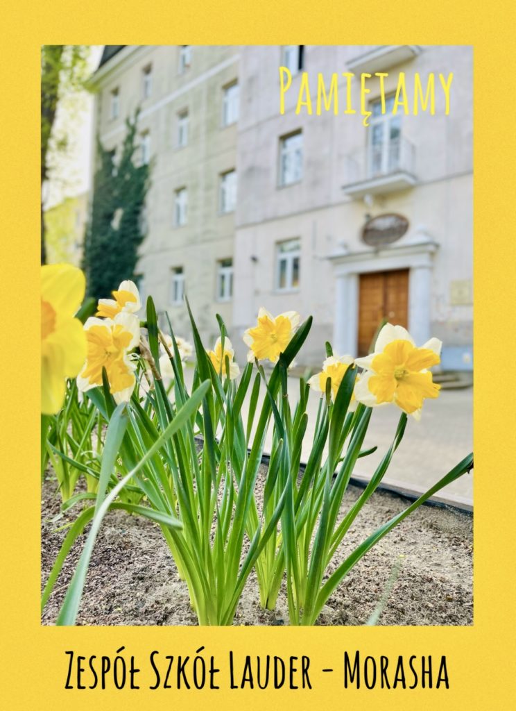 Akcja Żonkile – Prywatne Przedszkole Lauder-Morasha